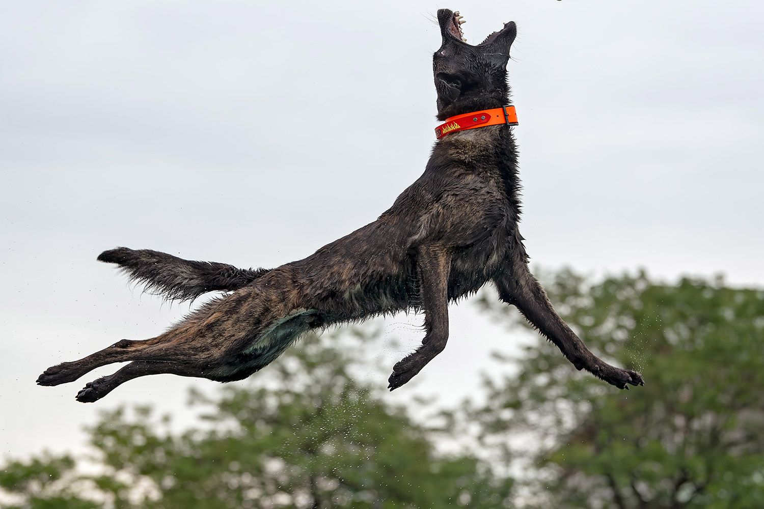 The Jump For A Million - The Run For A Million