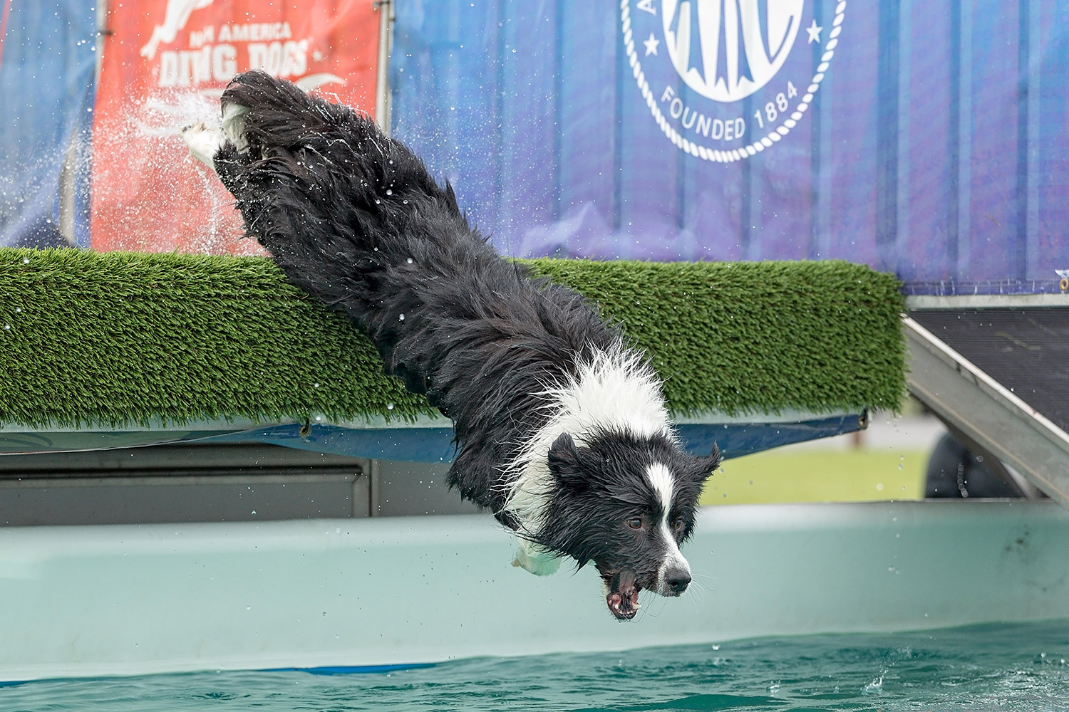 The Jump For A Million - The Run For A Million