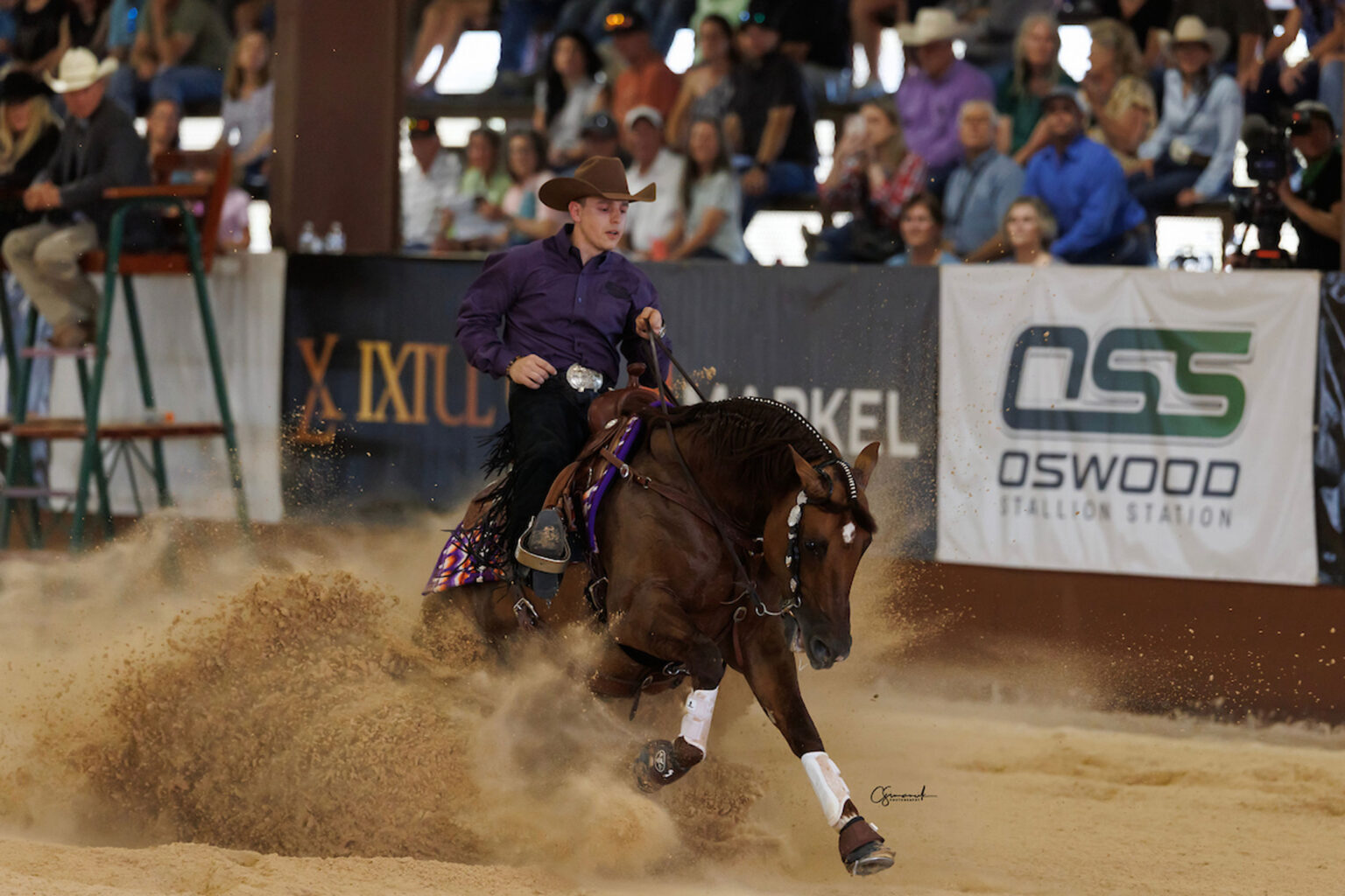 The Premier Event In Western Equine Sports